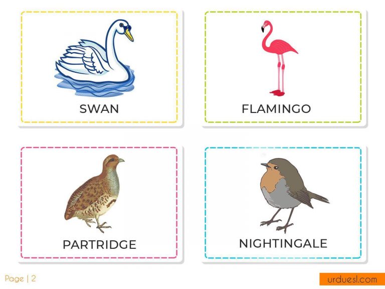 A to Z Bird Names List in English with Pictures - Download in Pdf