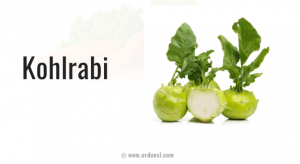 52 Vegetable Names in English with Pictures - Download Pdf