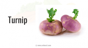52 Vegetable Names in English with Pictures - Download Pdf