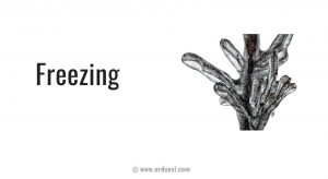 List of A to Z Winter Vocabulary Words with Pictures