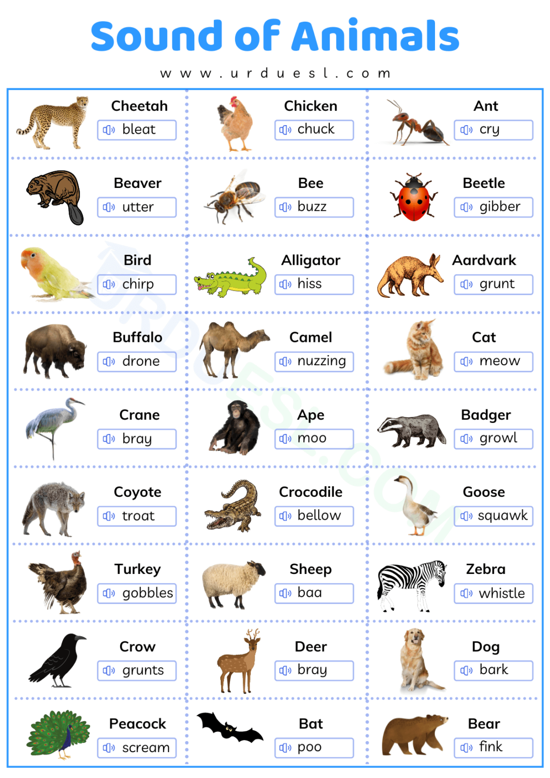 Sounds Of Animals List With Words That Describe Those Sounds