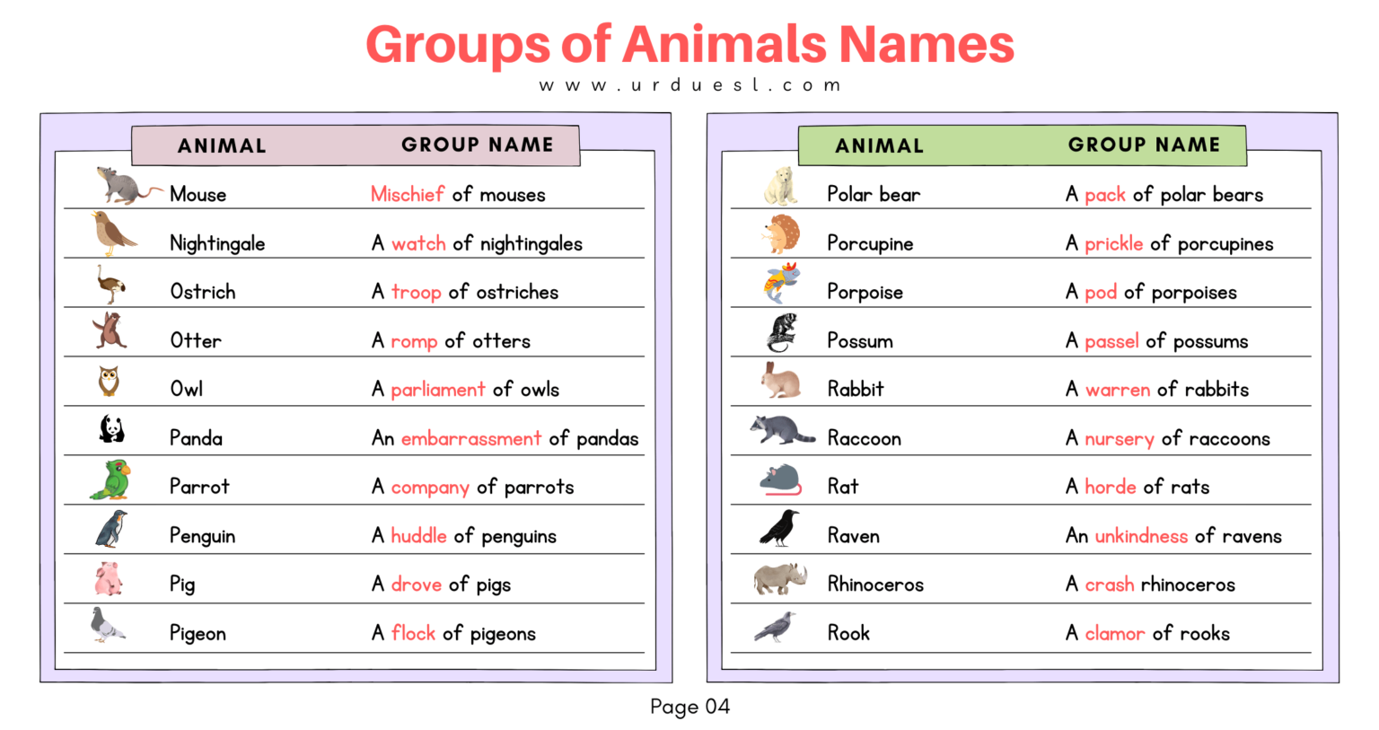 List of Groups of Animals Names with Images and Download Pdf