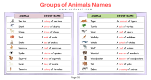 List of Groups of Animals Names with Images and Download Pdf