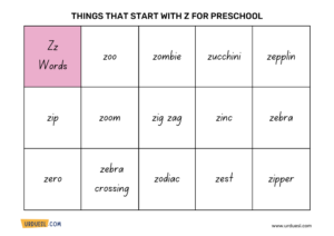 Household Items that Start with Z - Things that Start with Z